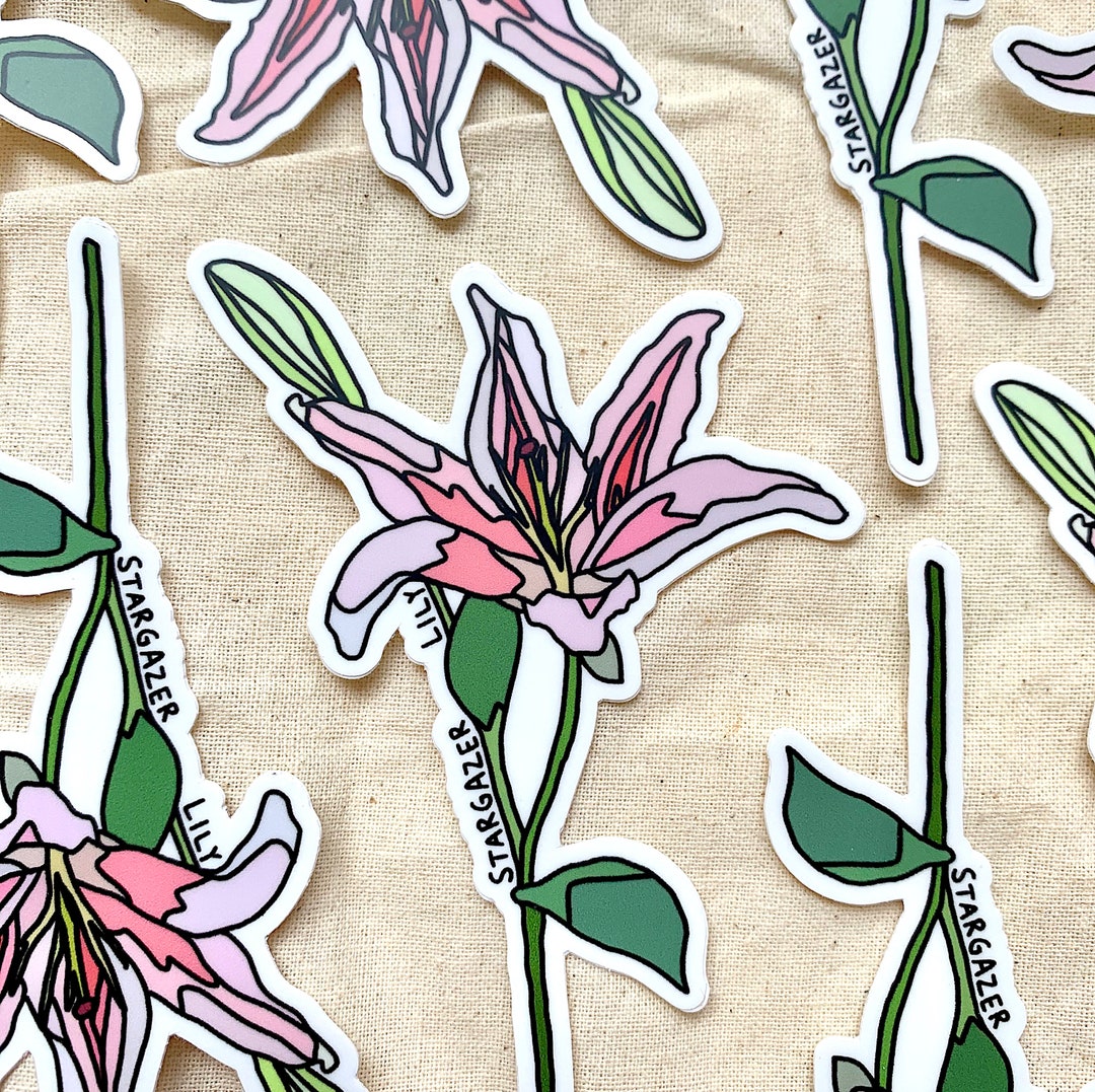 Waterproof Stargazer Lily Sticker - Durable Vinyl Floral Decal for ...
