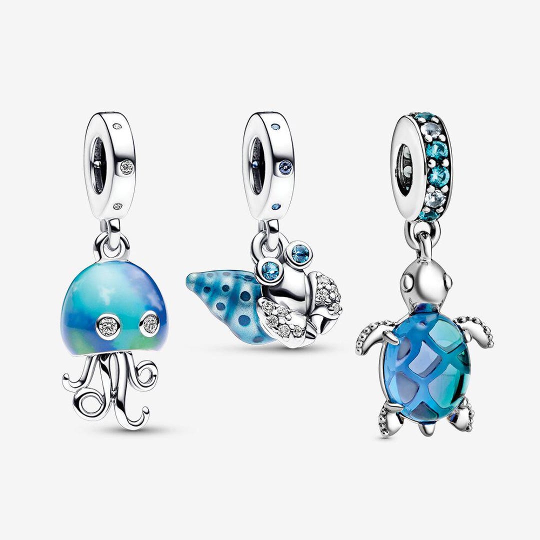 Releas Pandora Land and Sea Charm Set S925 Ale - Etsy