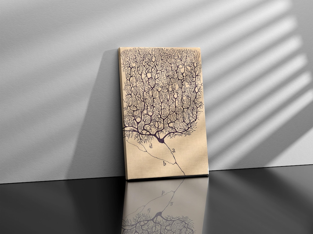 Vintage Neuron Drawing,santiago Ramón Y Cajal,light Academia, Antique ...