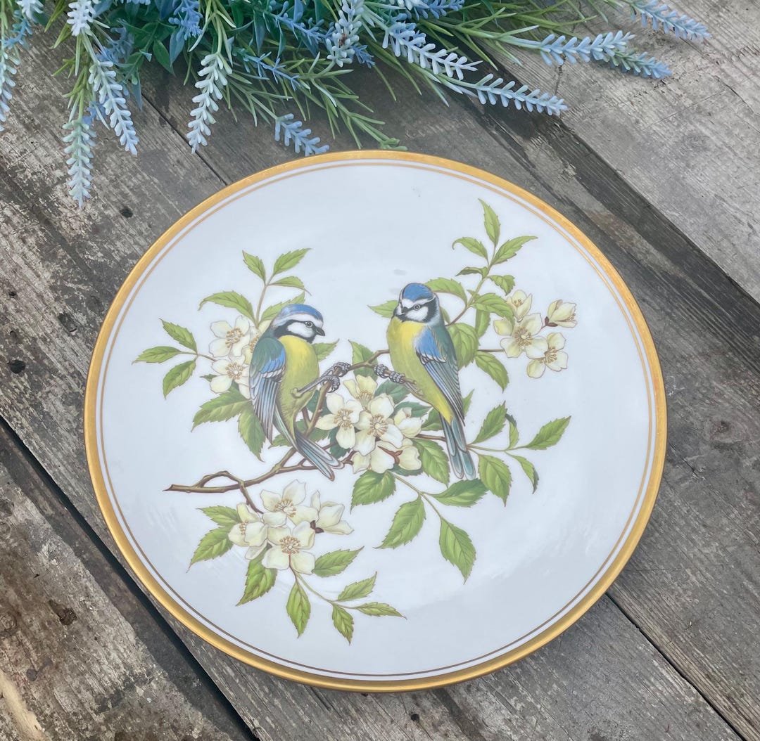 Spode Collectable Plate, Number 1 of the Garden Birds Series, Titmouse ...