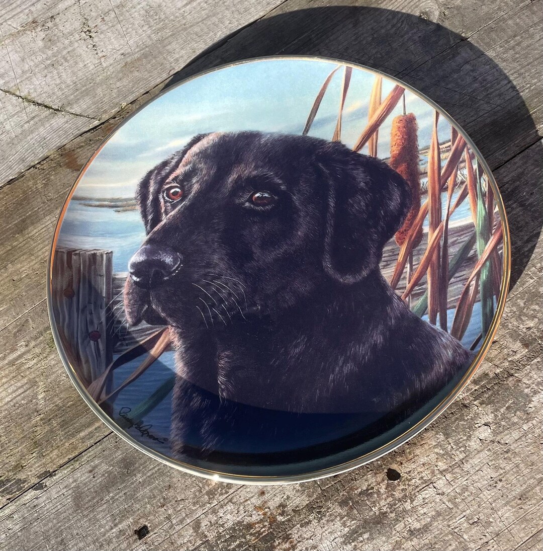 Franklin Mint Labrador Plate – “man’s Best Friend” Vintage Dog ...