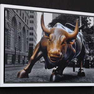 Bull Canvas, Charging Bull Statue, Wall Street Art, Bull Wall Art, Bull ...