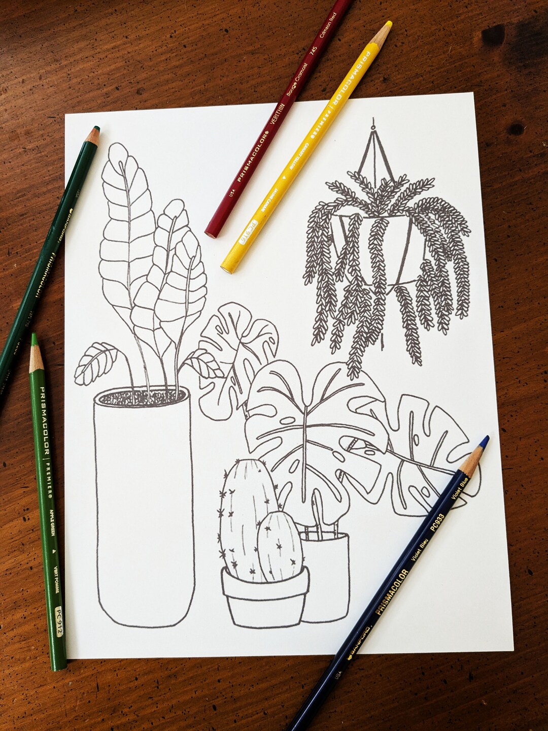 Printable Adult Coloring Book Page / Potted Plants Coloring Download ...