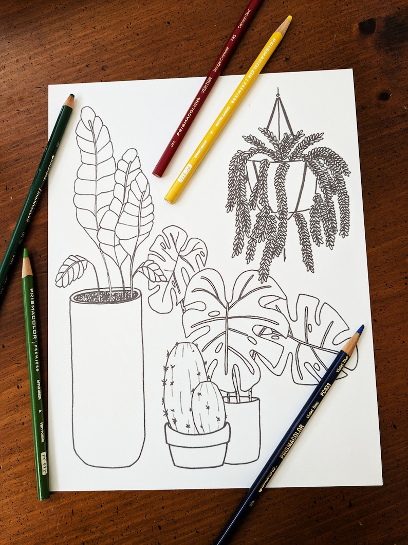 Printable Adult Coloring Book Page / Potted Plants Coloring Download ...