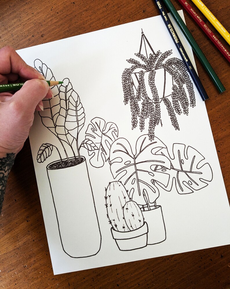 Printable Adult Coloring Book Page / Potted Plants Coloring Download ...