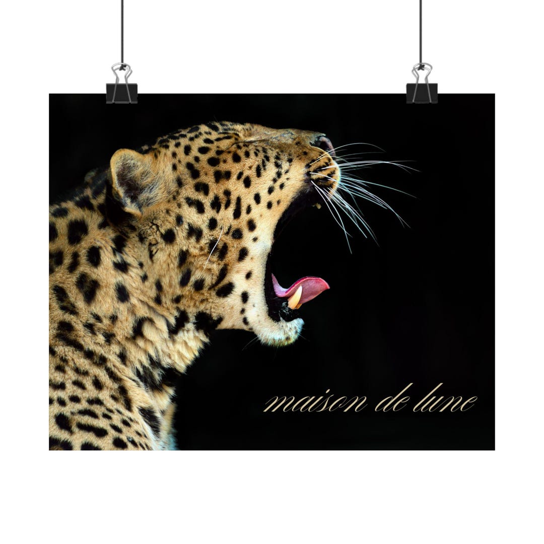 Elegant Leopard Print Set: Matte Animal Wall Art Decor - Etsy