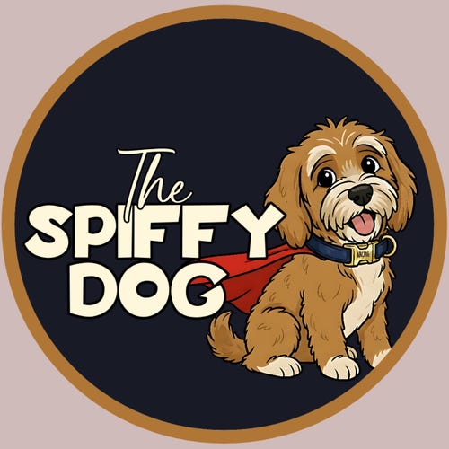 TheSpiffyDogCo - Etsy UK