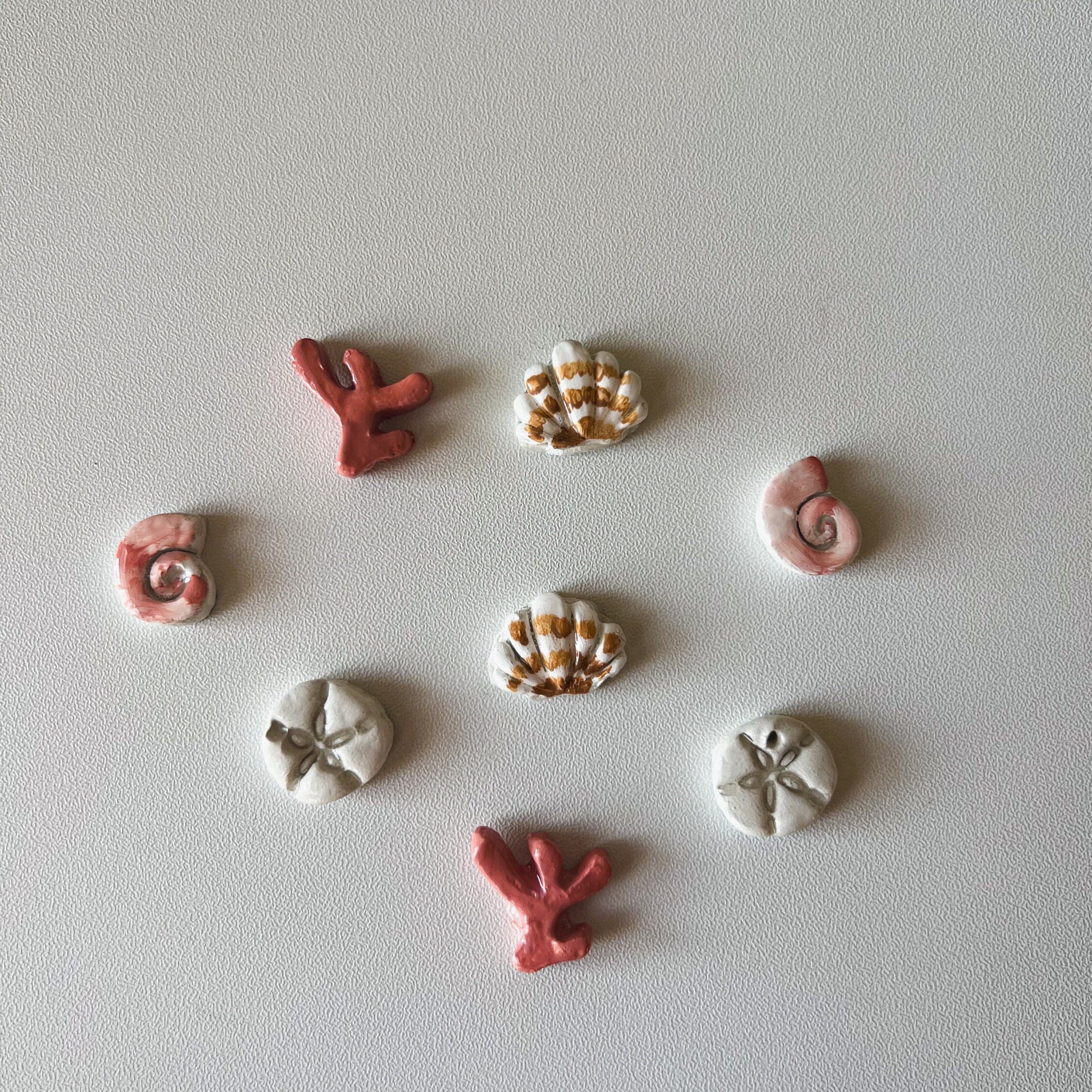 Handmade Magnets Seashell Variety Magnet Set Fridge Magnets Cute Ocean ...