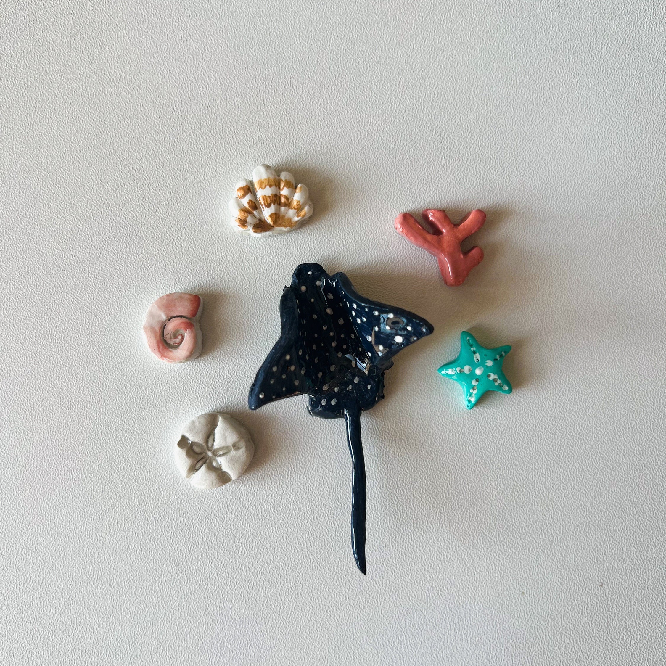 Handmade Magnets Seashell Variety Magnet Set Fridge Magnets Cute Ocean ...