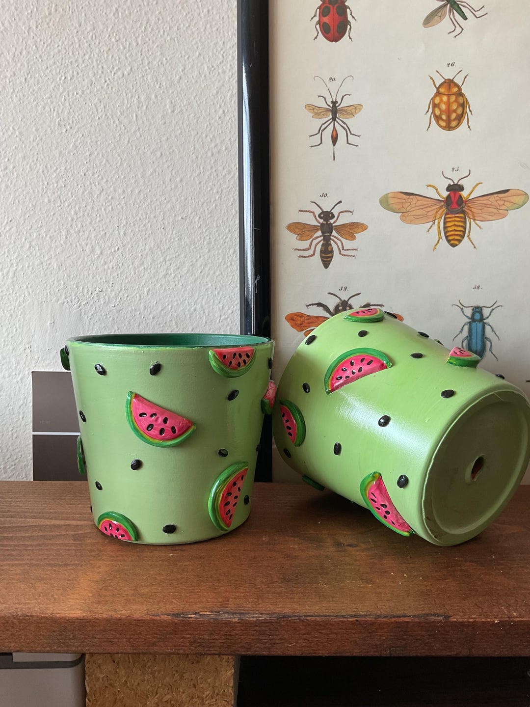 Watermelon Clay Pot: 4" Terracotta Planter With 3D Polymer Clay - Etsy