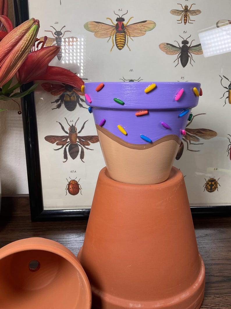 Sprinkle Donut Planter: Hand-painted Terracotta Pot With 3D Polymer ...