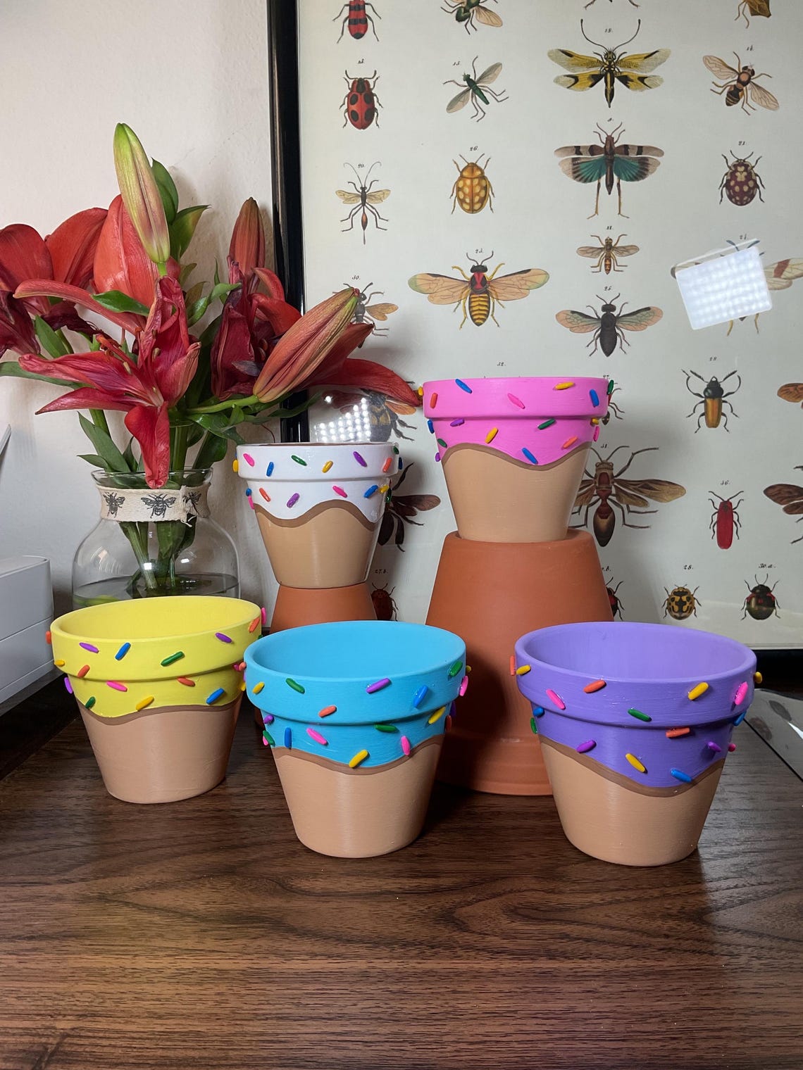 Sprinkle Donut Planter: Hand-painted Terracotta Pot With 3D Polymer ...