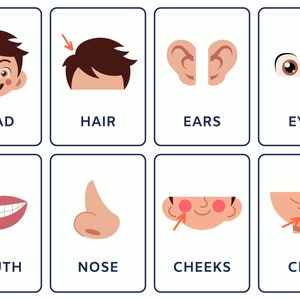 Learning Body Parts for Kids - Etsy