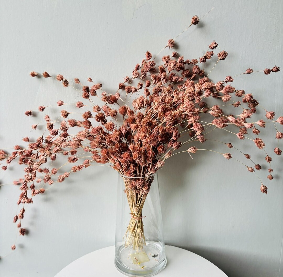 Natural Weeping Bamboo Flower Bunch: Exotic Thai Dried Flowers - Etsy