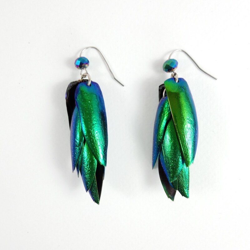Jewel Beetle Wings - Etsy