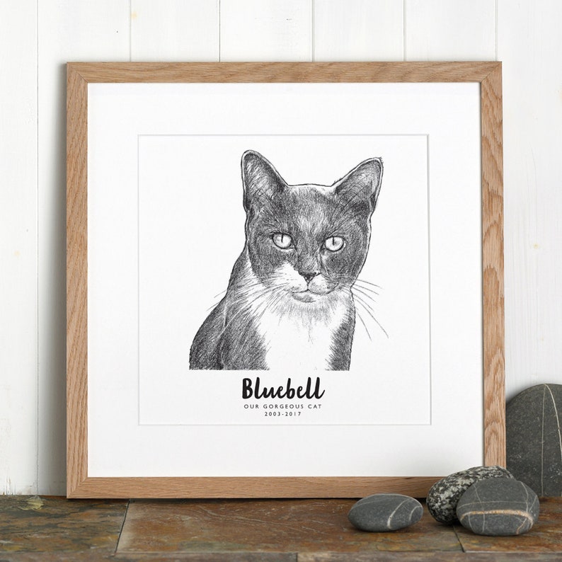 Personalised Pet Sketch Custom Animal Drawing Bespoke - Etsy