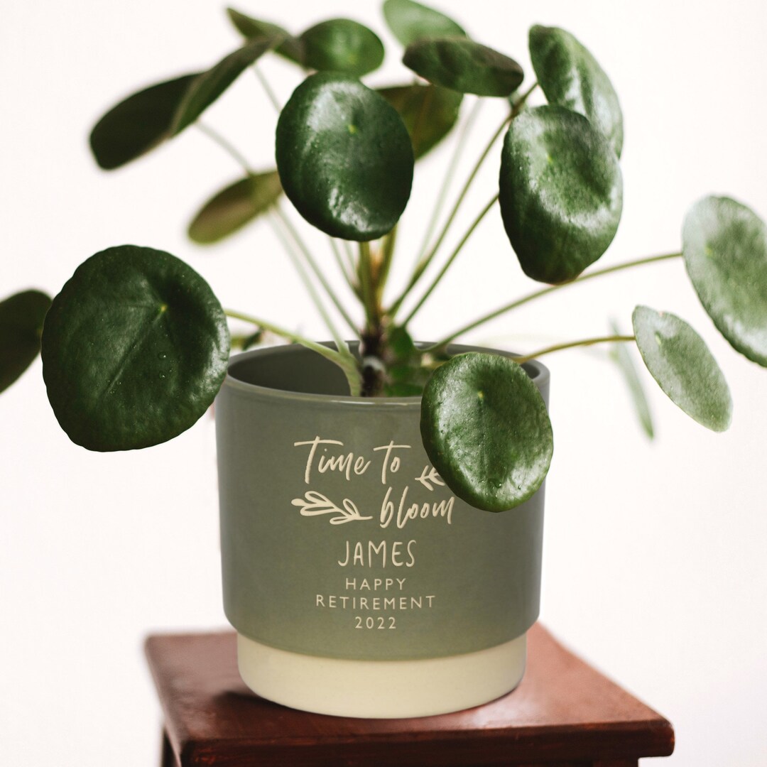Personalised Retirement Indoor Plant Pot, Time to Bloom Wish Someone ...