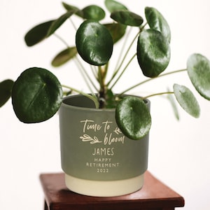 Personalised Retirement Indoor Plant Pot, Time to Bloom! Wish Someone ...