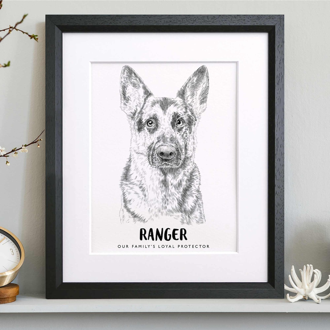 Personalised Pet Sketch, Custom Animal Drawing, Bespoke Portrait, Dog ...