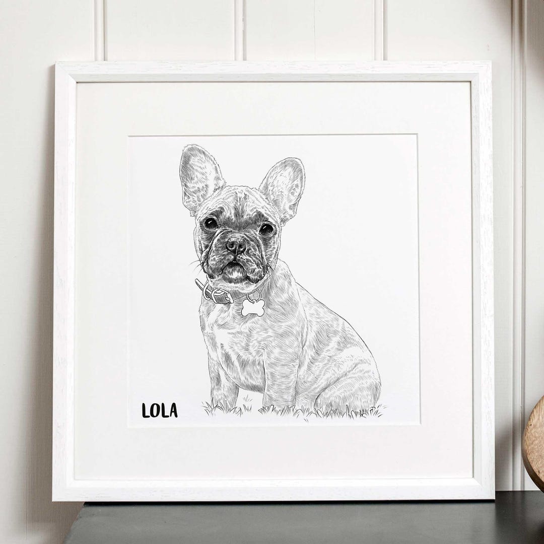 Personalised Pet Sketch, Custom Animal Drawing, Bespoke Portrait, Dog ...