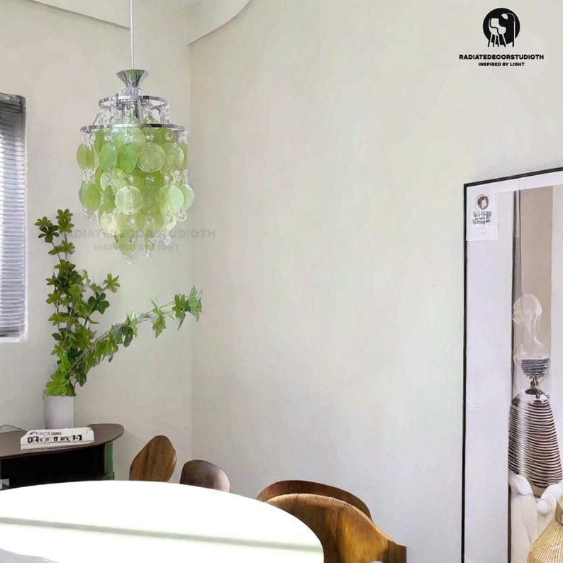 Natural Shell Ceiling Light,shell Light,elegant Wall Lamp,handmade ...
