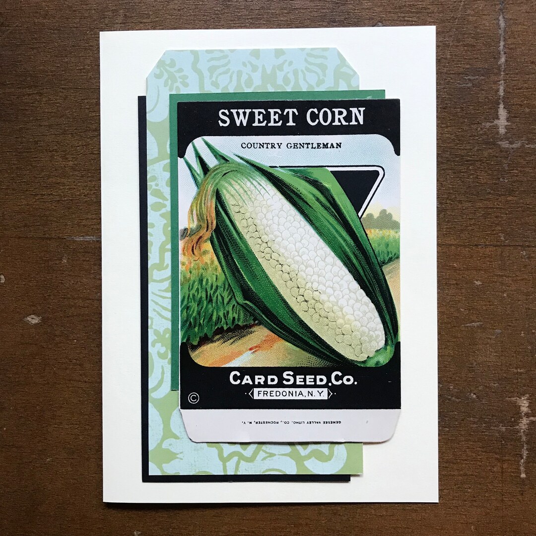 Sweet Corn Blank Card - Etsy