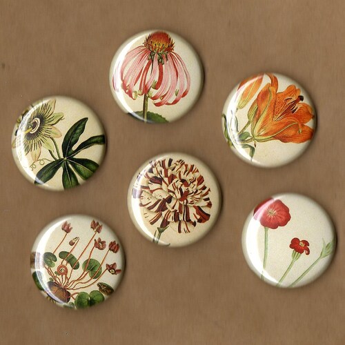 Wildflowers Pinback Buttons Set of 6 - Etsy