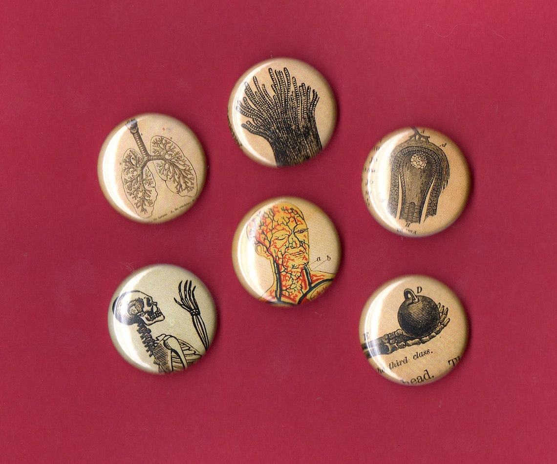 Vintage Anatomy 1 Inch Pinback Buttons Set of 6 ASSORTED - Etsy