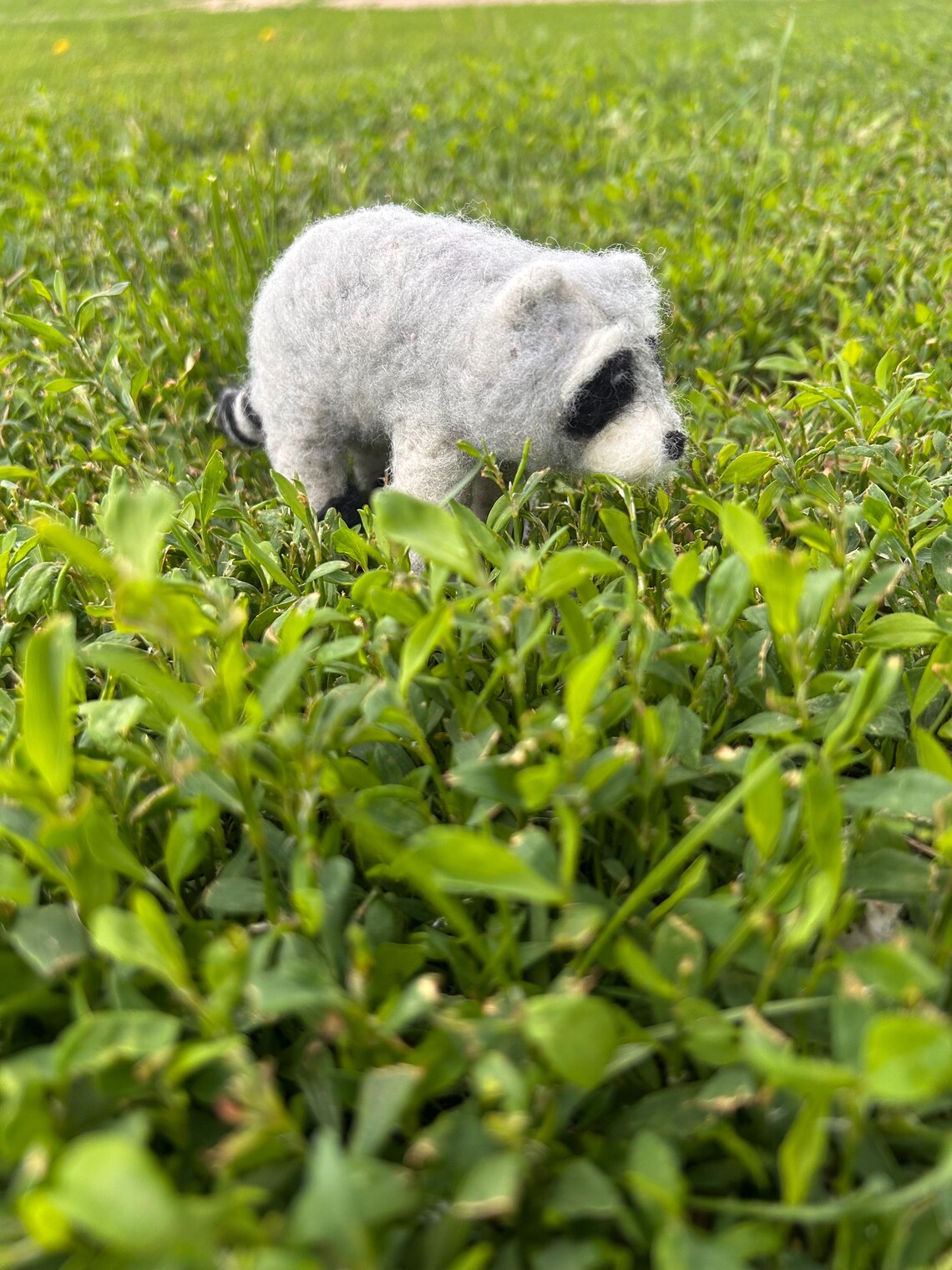 Racoon Needle Felting Pattern PDF – DIY Wild Animal Tutorial – Beginner ...
