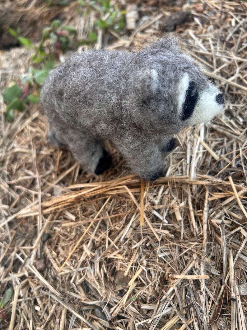 Racoon Needle Felting Pattern PDF – DIY Wild Animal Tutorial – Beginner ...