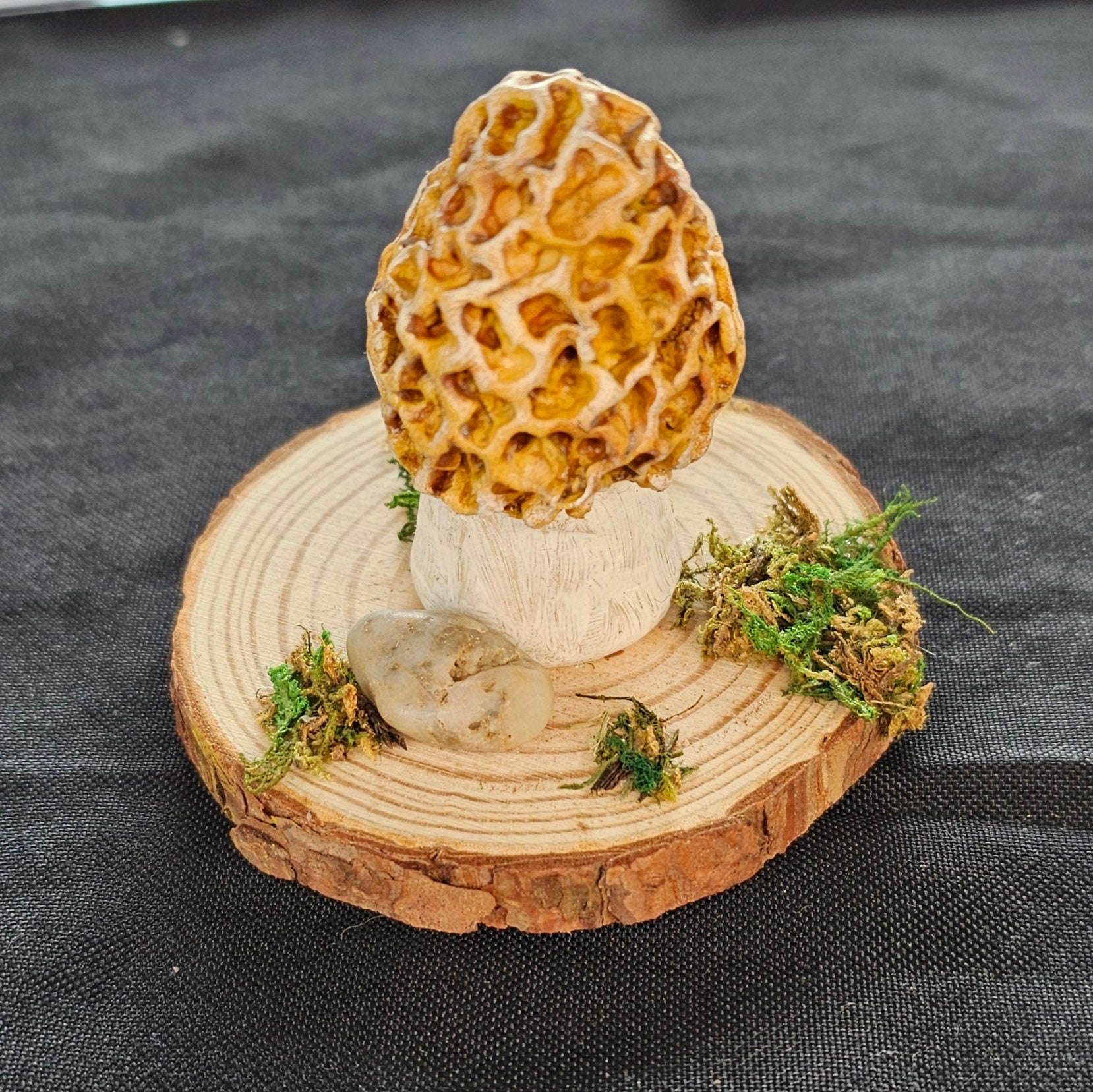 Morel Desk Mushroom - Etsy