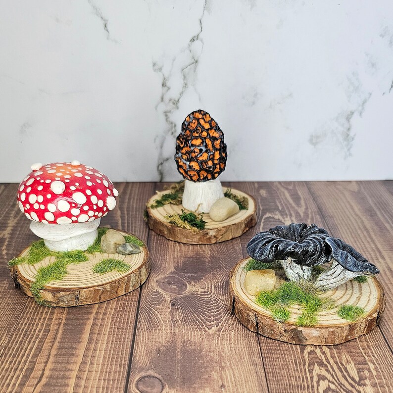 Morel Desk Mushroom - Etsy