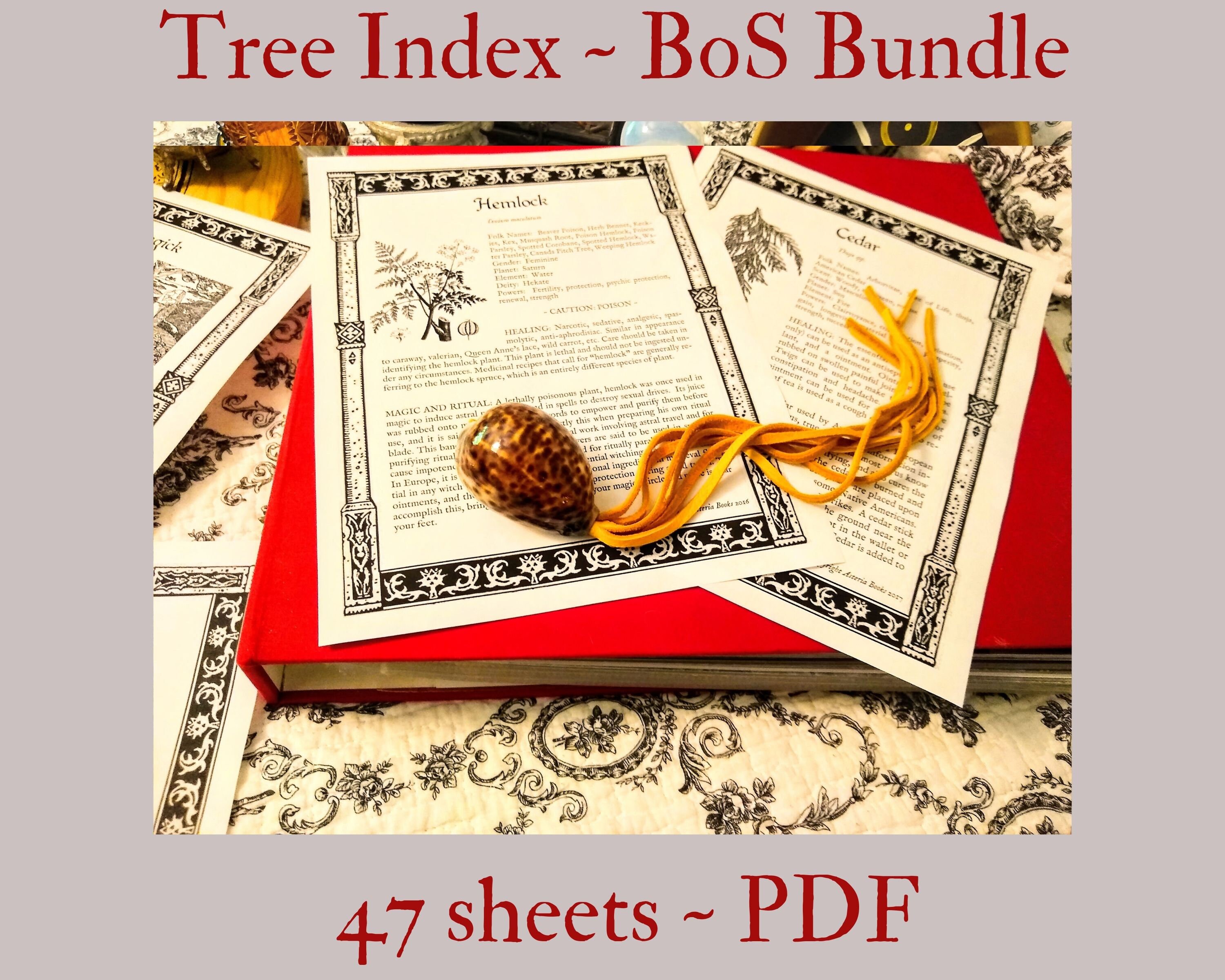 TREE Index BOS Sheets PDF Specialty Pack 47 Sheets Book of Shadows ...