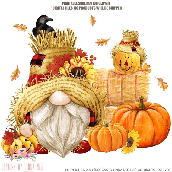 Clip Art Pumpkin Gnome PNG Sublimation Design Instant Digital Download ...