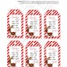 Reindeer NOSES Gift Tag Label Printable Party Package Rudolph Craft ...