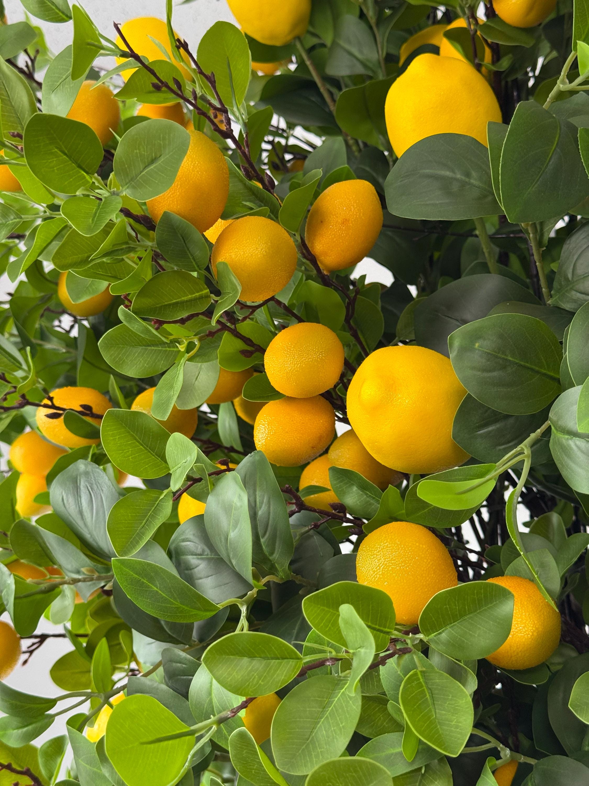 Front Shop Lemon Garland, Fake Citrus Backdrop, Restaurant Greenery ...