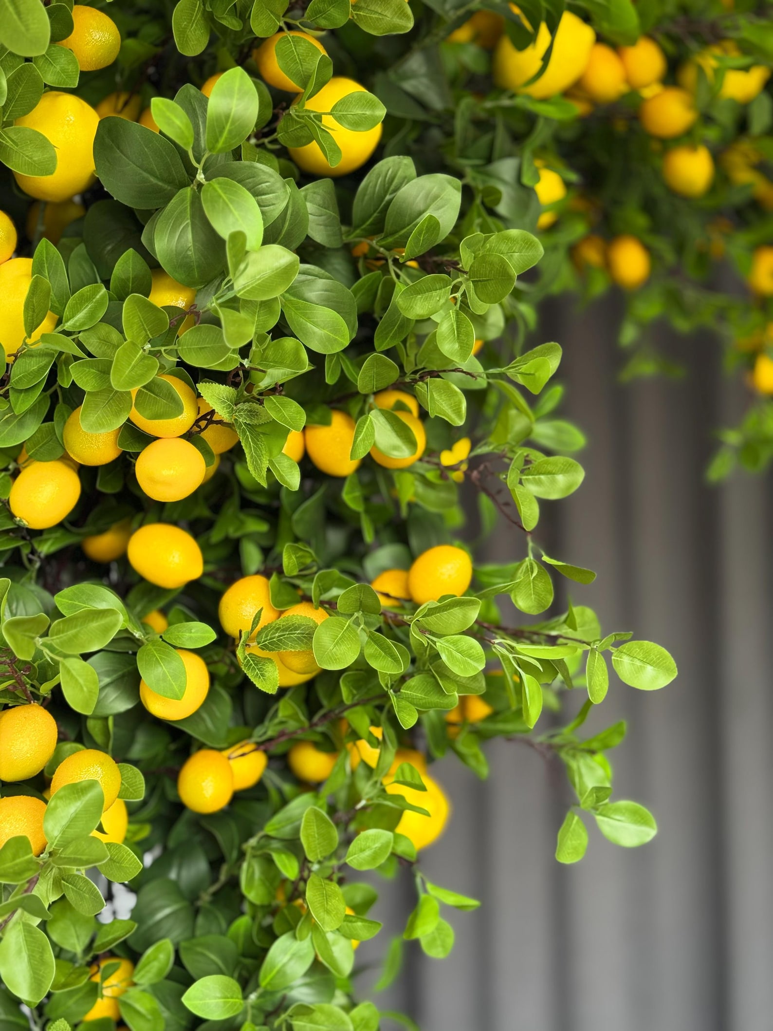 Front Shop Lemon Garland, Fake Citrus Backdrop, Restaurant Greenery ...