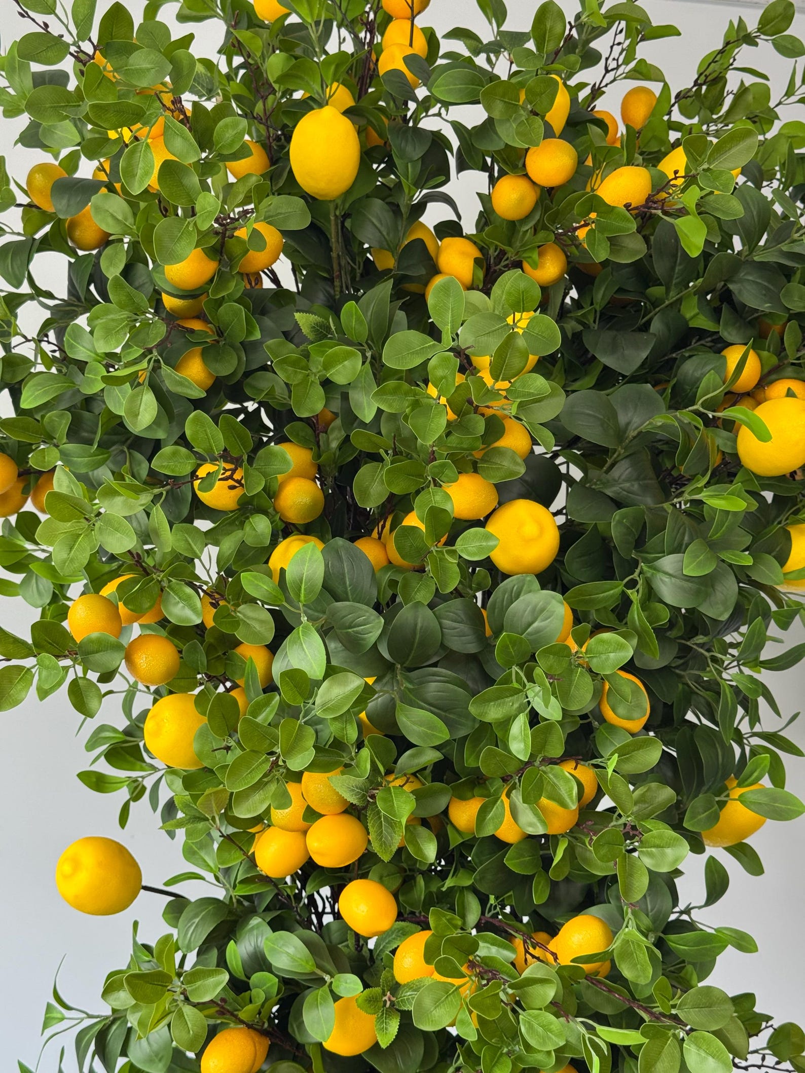 Front Shop Lemon Garland, Fake Citrus Backdrop, Restaurant Greenery ...
