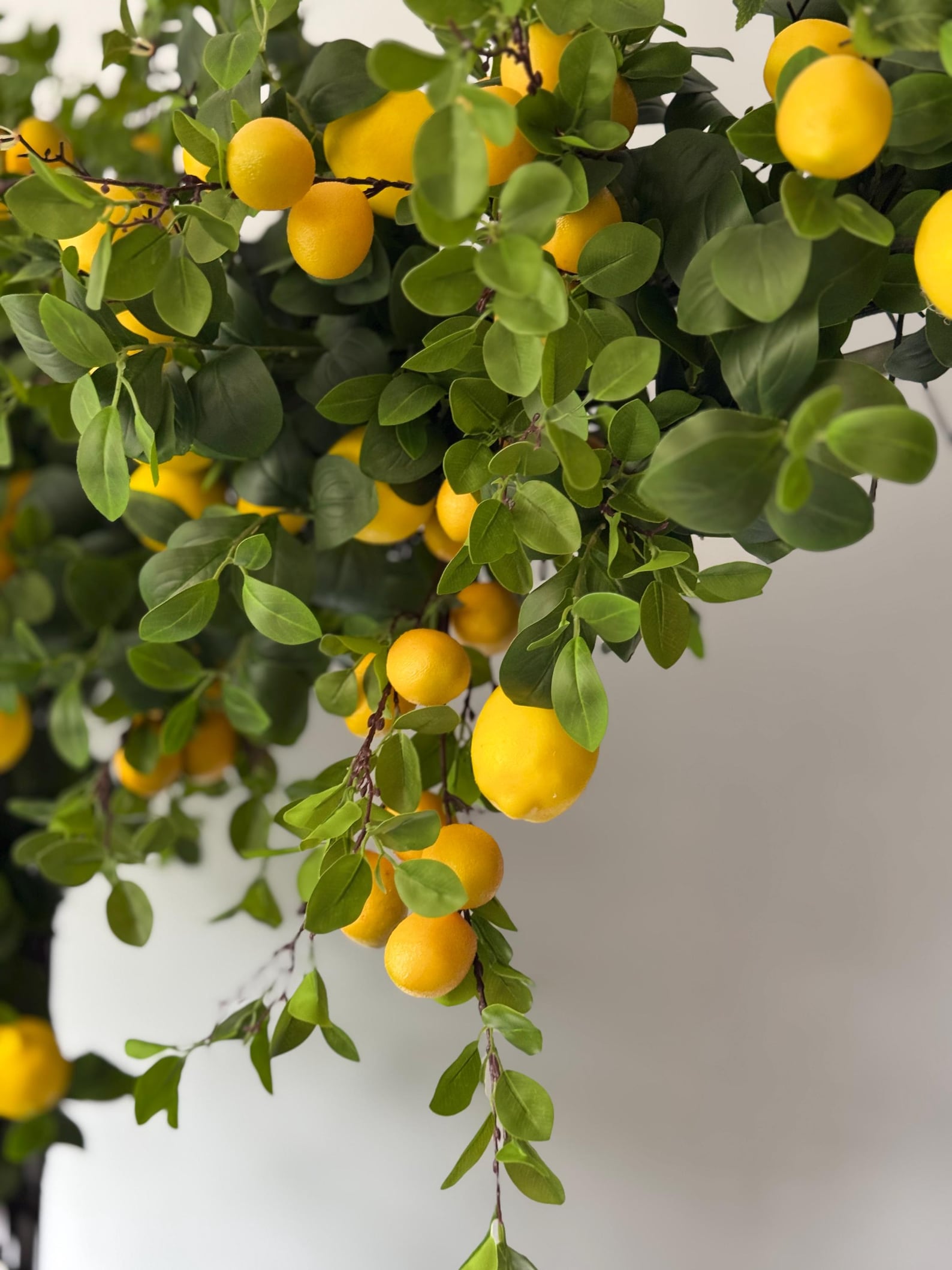 Front Shop Lemon Garland, Fake Citrus Backdrop, Restaurant Greenery ...