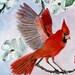 Cardinal Spring Art Watercolor Print Wall Decor, Dogwood Red Bird ...