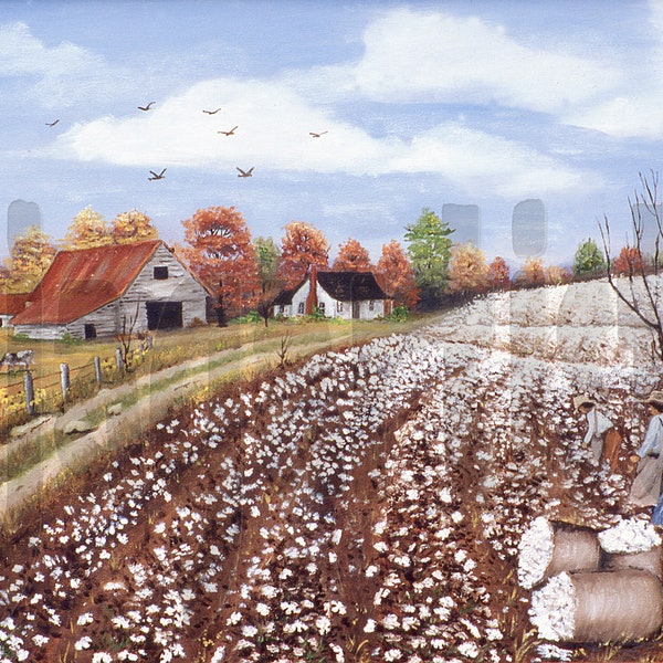 Cotton Fields - Etsy