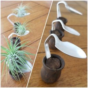 Vintage Spoon Air Plant Holder E0636 - Etsy