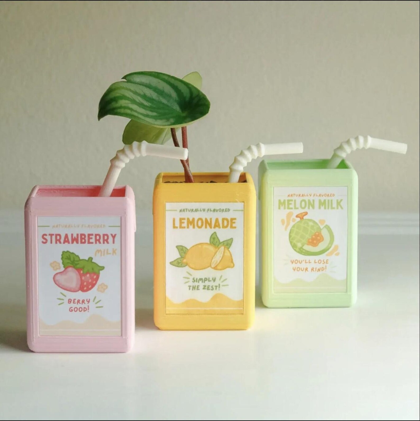 Juice Box-shaped Flower Pot - Etsy