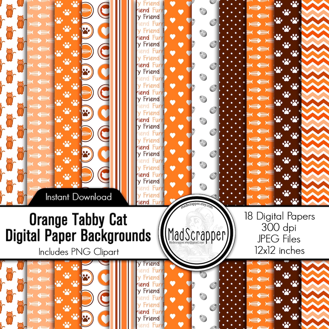 Digital Scrapbook Paper Orange Tabby Cat Paper Digital Cat Paper ...
