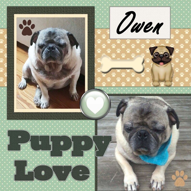 Digital Scrapbook Paper Pug Love Dog Paper Digital Pug Dog | Etsy