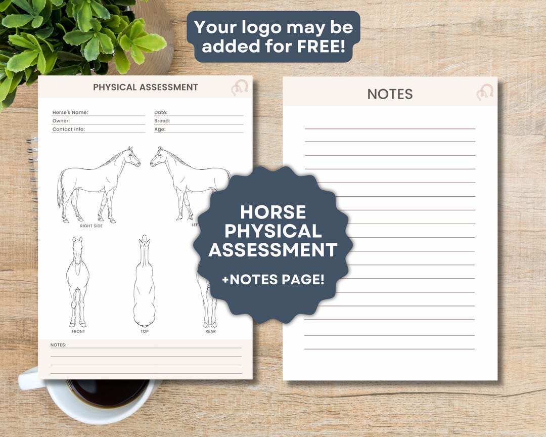 Horse Physical Assessment Form, Equine Form Sheet,horse Diagram,horse ...