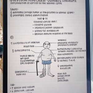 Endocrine System Review | Nursing School Notes | Nursing Exam Review ...