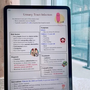 Renal and Urinary System | Pediatric | Nursing School Notes | Nursing ...