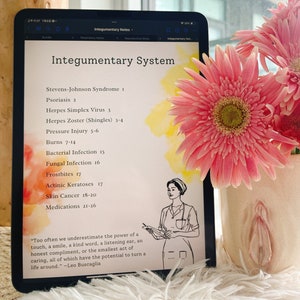 Integumentary System Review Nursing School Notes Nursing Exam Review ...