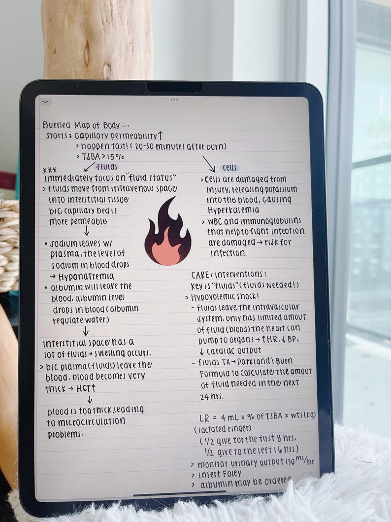 Integumentary System Nursing Notes | NCLEX Review (26 Pages) (PDF) - Etsy